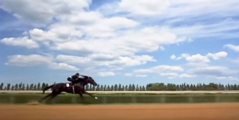 Black Thoroughbred Stallion Racing Breeding Stock Archives TDN