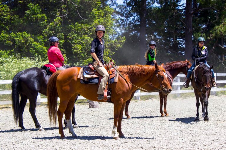 Tackle the Trail Course - Published by Young Rider Magazine