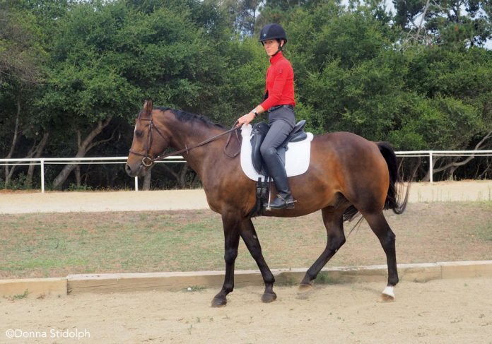 English Training: Walking Exercises - Horse Illustrated
