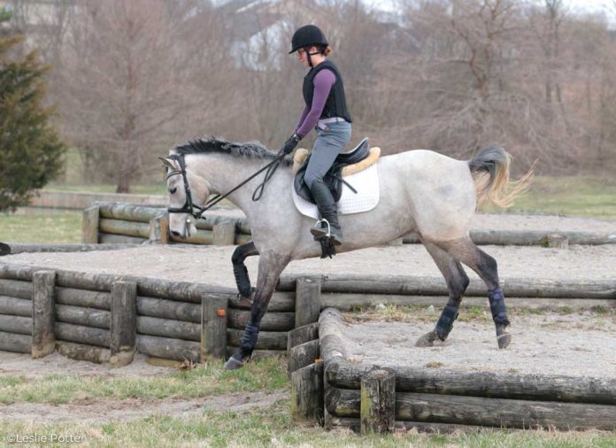 Try Your Hand at Cross-Country Riding! - Young Rider