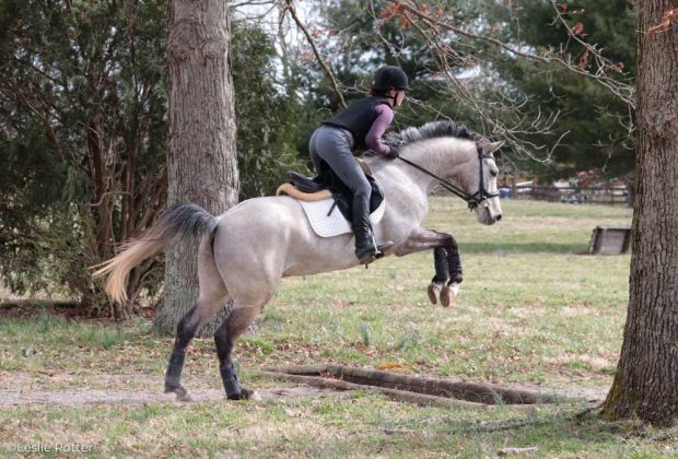 Try Your Hand at Cross-Country Riding! - Young Rider