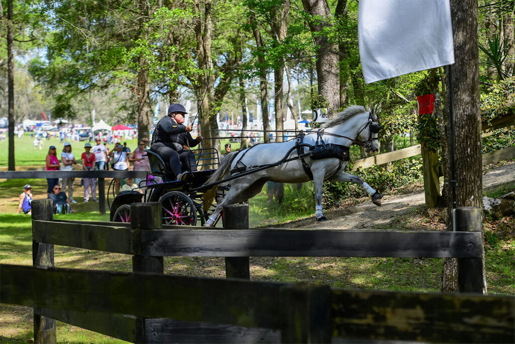 Ocala March Equestrian Events Recap - Horse Illustrated