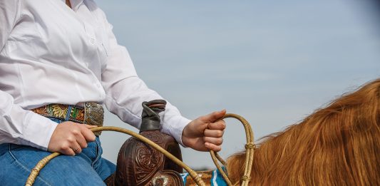 The Ins and Outs of 4 Types of Western Reins - Horse Illustrated