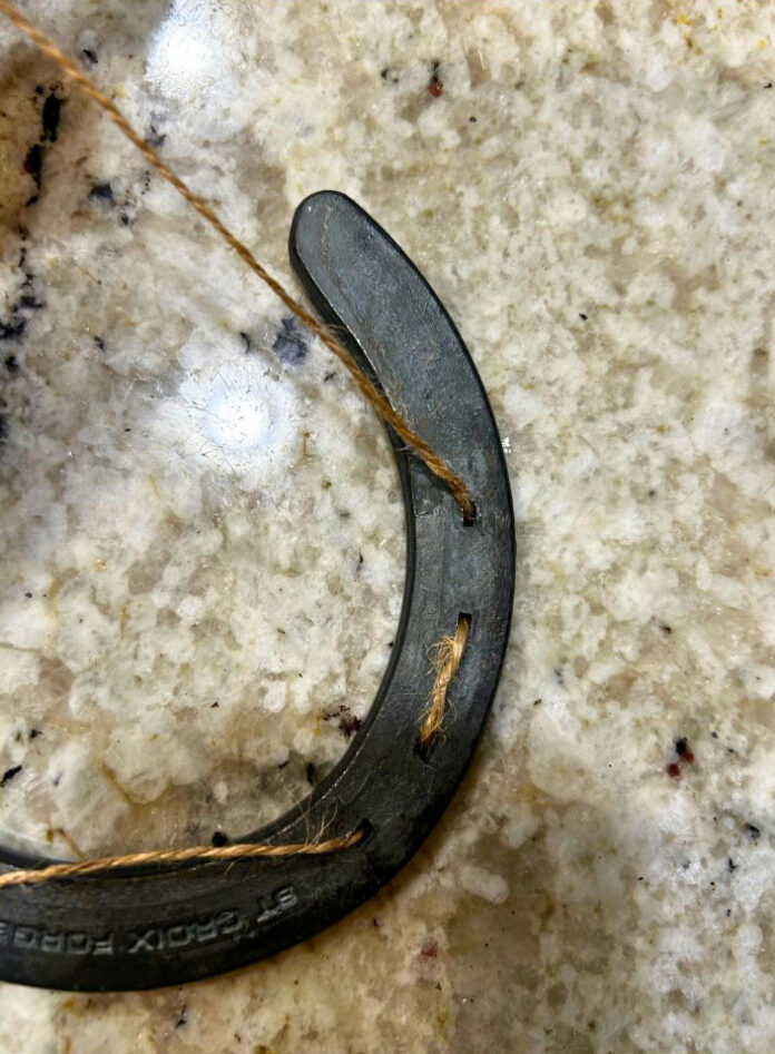 DIY Horsey Christmas Gifts and Decor - Horse Illustrated Magazine