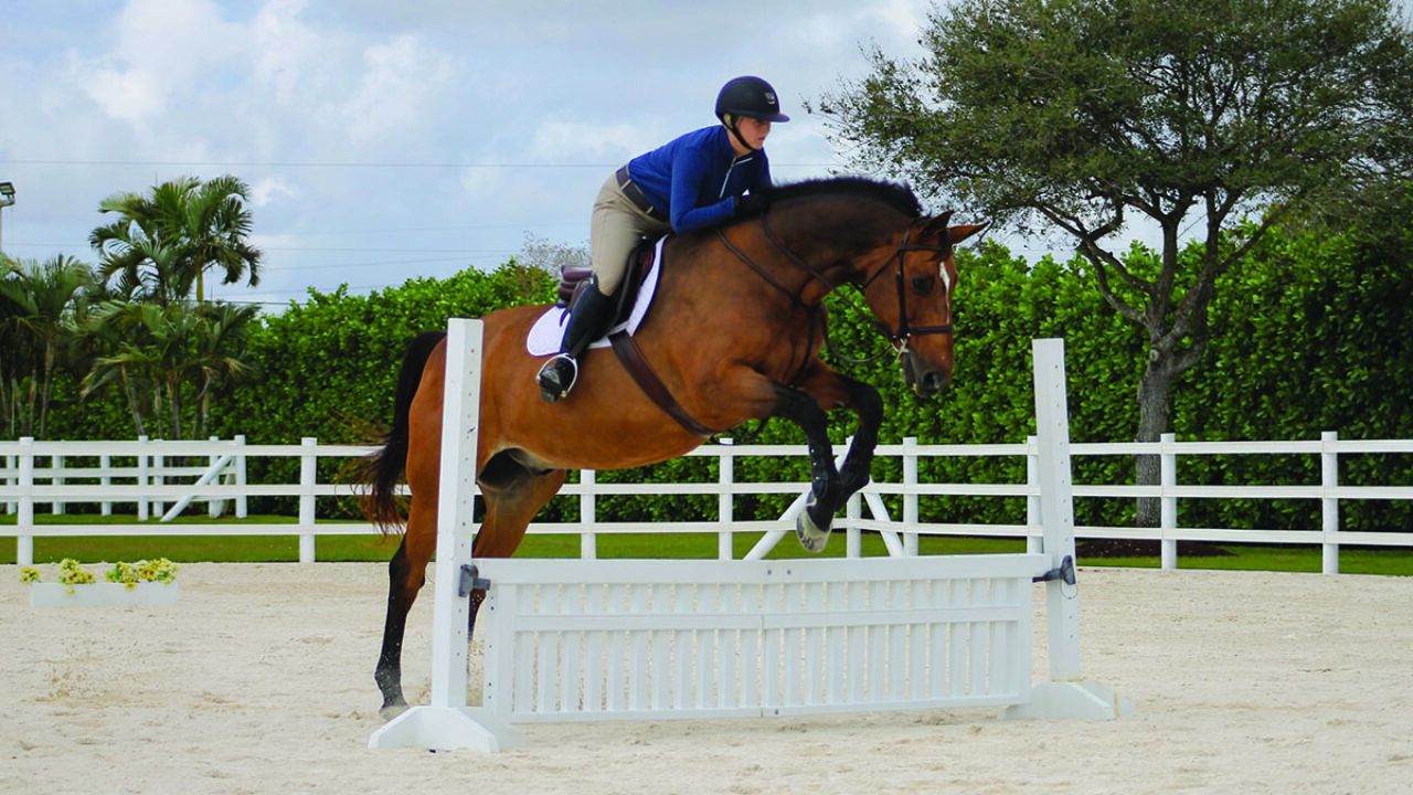 Show Jumping Jumps