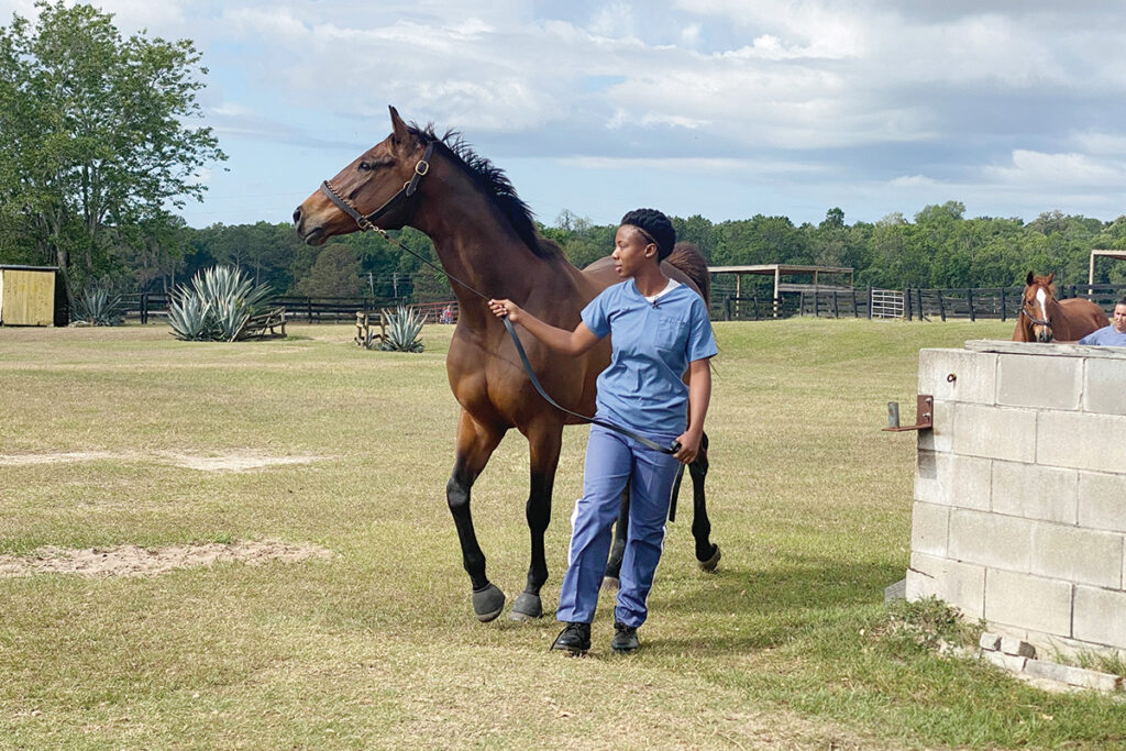 Second Chances: Inmates and Thoroughbreds Helping Each Other