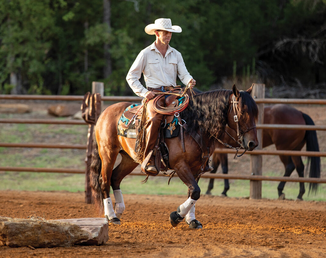 Changing Riding Disciplines: English to Western - Horse Illustrated