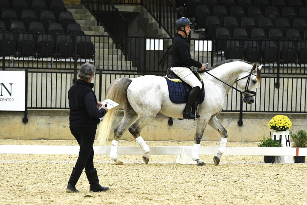 Try a Dressage Ride a Test Clinic - Horse Illustrated