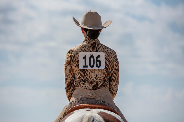 Equestrian Goal Setting - Horse Illustrated