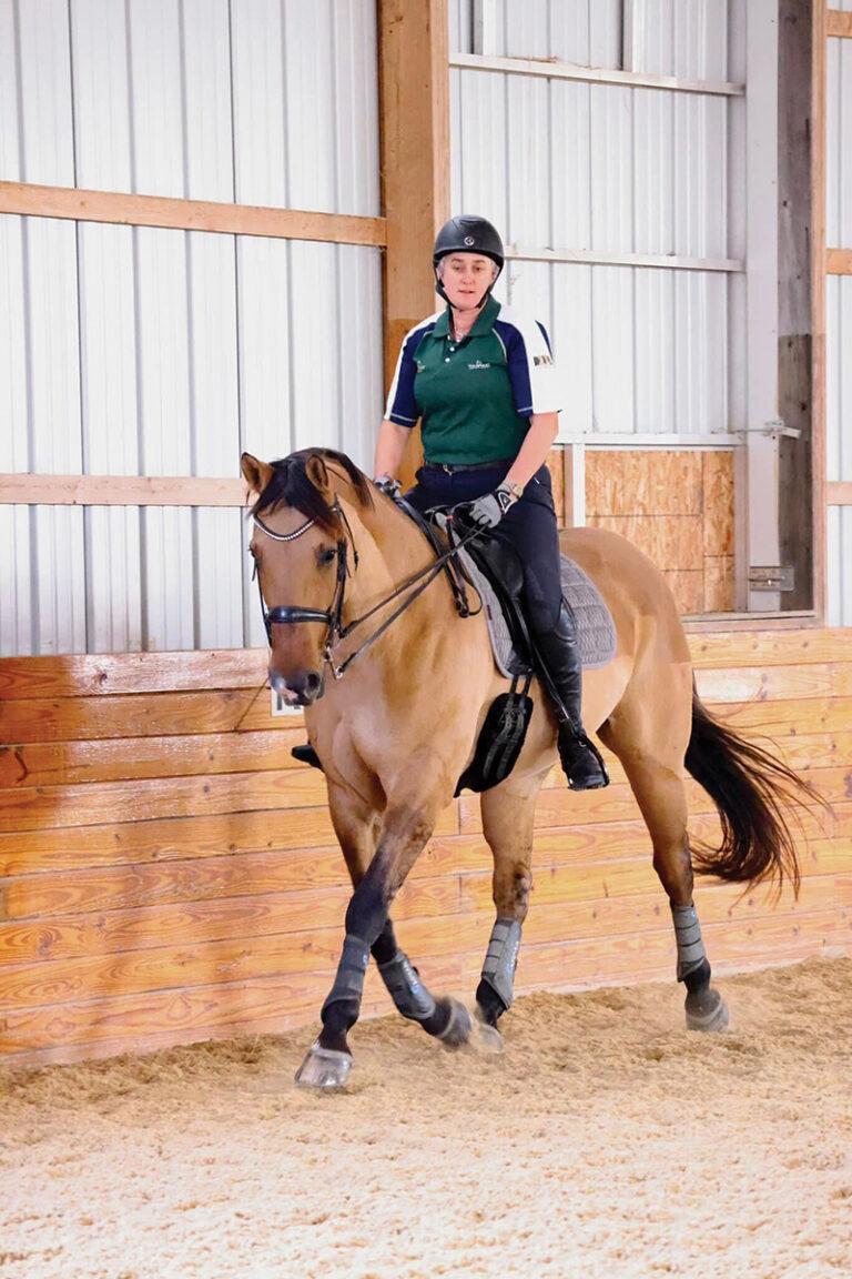 Using Ground Poles in Your Horse's Training - Horse Illustrated