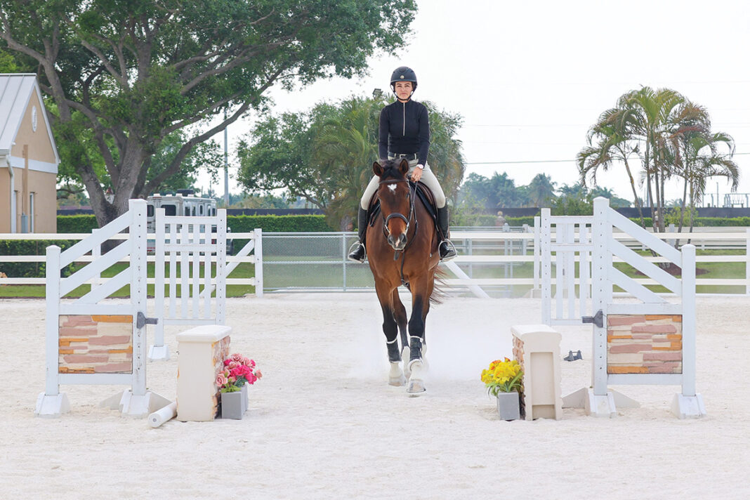 Solutions for a Horse Stopping at Jumps - Horse Illustrated