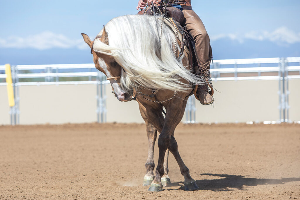 Master Your Reining Spins - Horse Illustrated