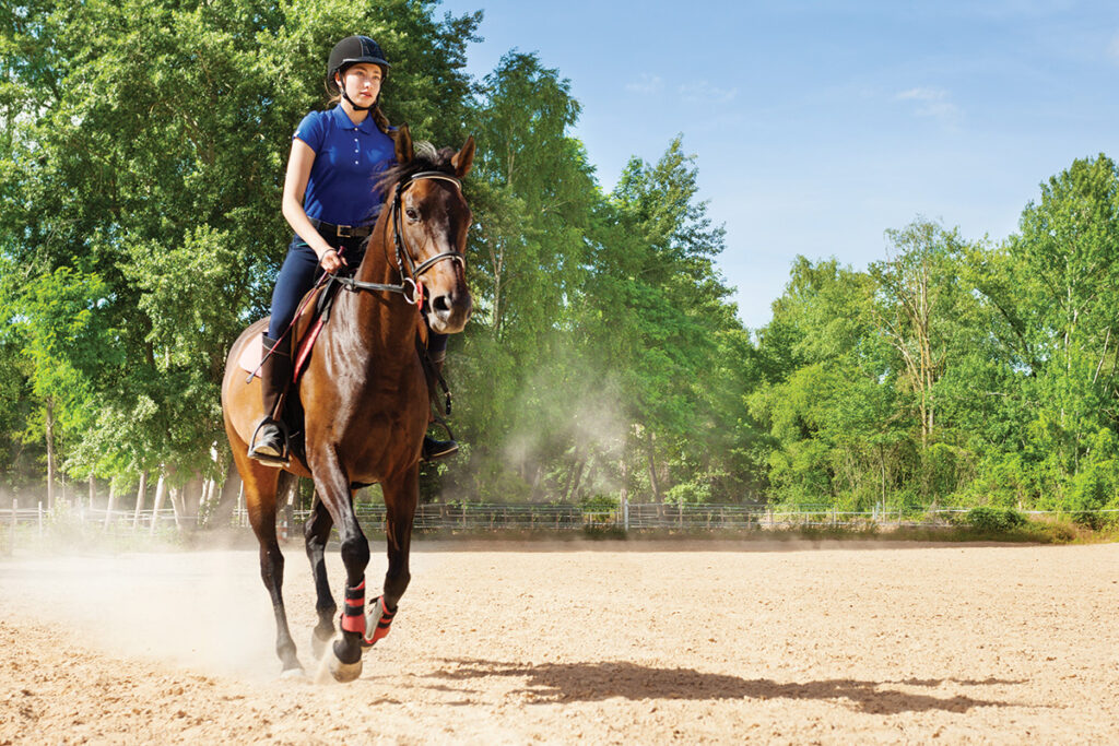 Horse and Rider Fitness for Spring - Horse Illustrated