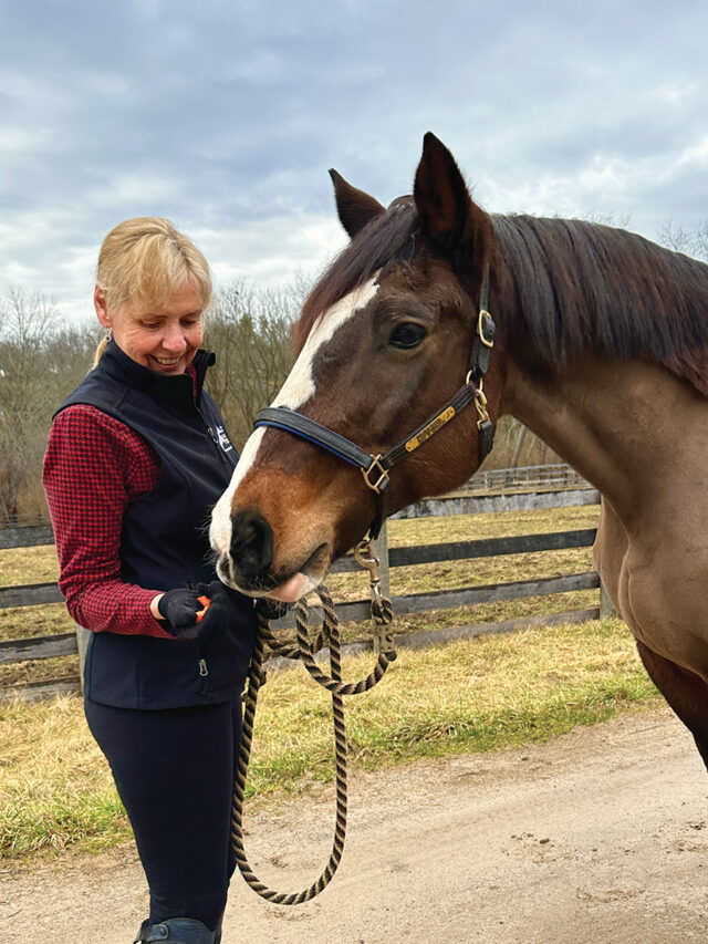 Backing Up Your Horse in Hand - Horse Illustrated
