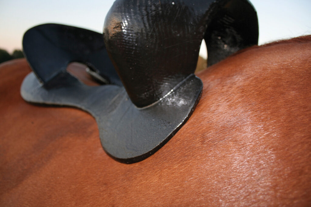 Western Saddle Fit Made Simple - Horse Illustrated