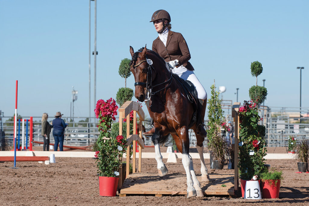 An Overview of Working Equitation - Horse Illustrated