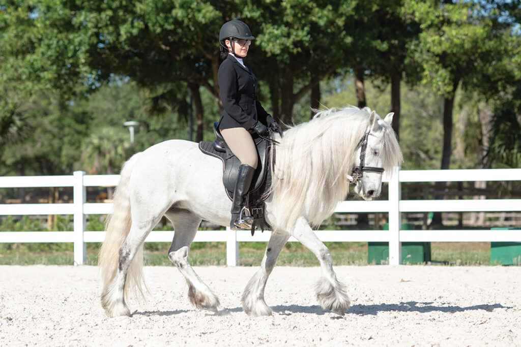 Fell Ponies: More Than 100 Years of History - Horse Illustrated