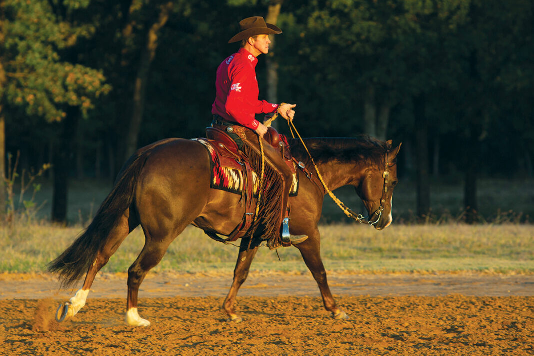 The Quarter Horse's Ranch Roots - Horse Illustrated