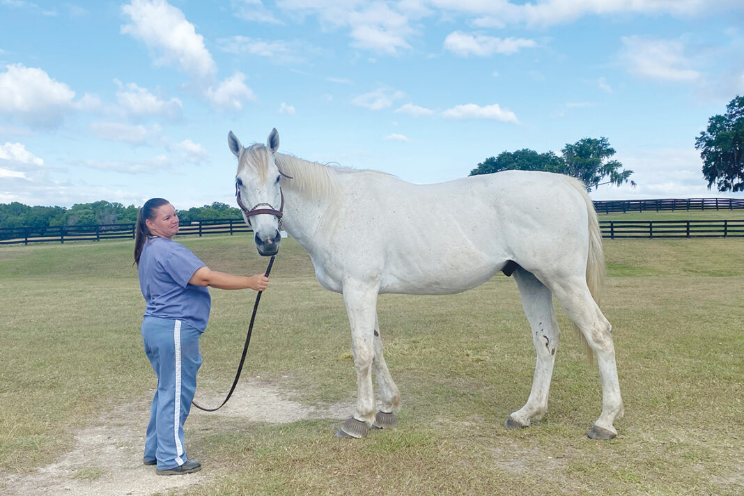 Second Chances: Inmates and Thoroughbreds Helping Each Other