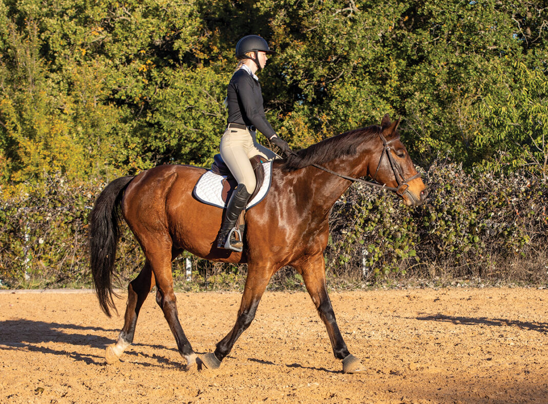 Changing Riding Disciplines: English to Western - Horse Illustrated