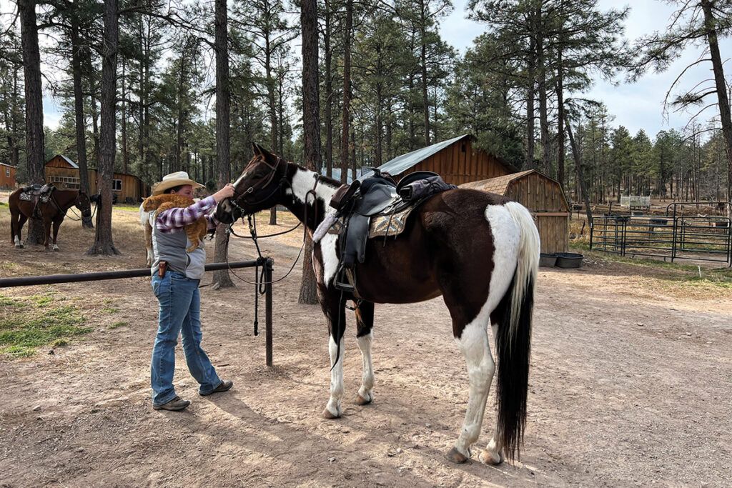 Guest Ranch Horses - Horse Illustrated
