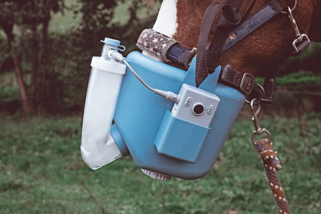 What is Equine Asthma? - Horse Illustrated