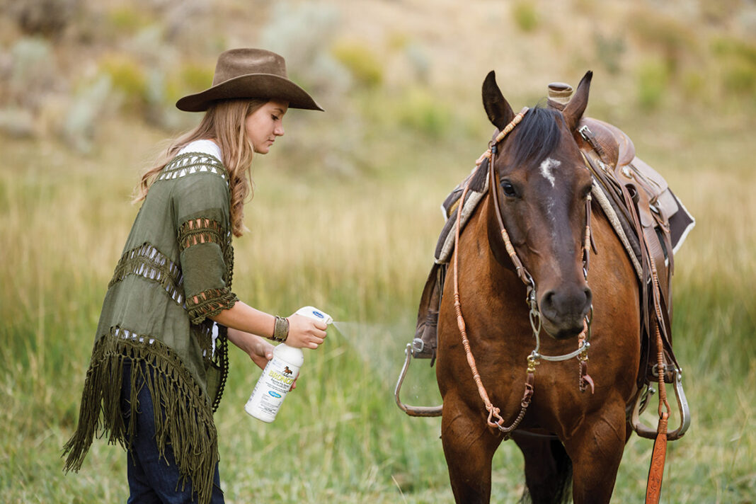 Fly Spray 101 - Horse Illustrated