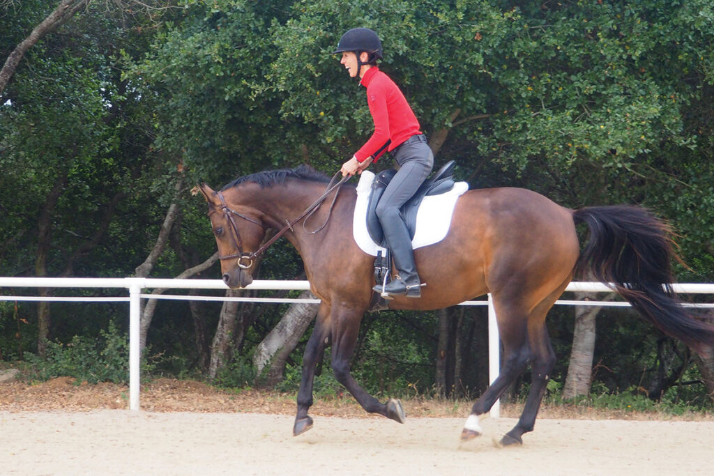 Gearing Up for Galloping - Horse Illustrated