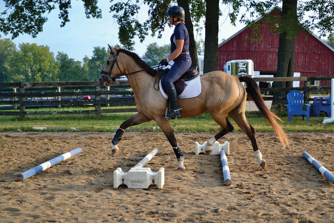Using Ground Poles in Your Horse's Training - Horse Illustrated