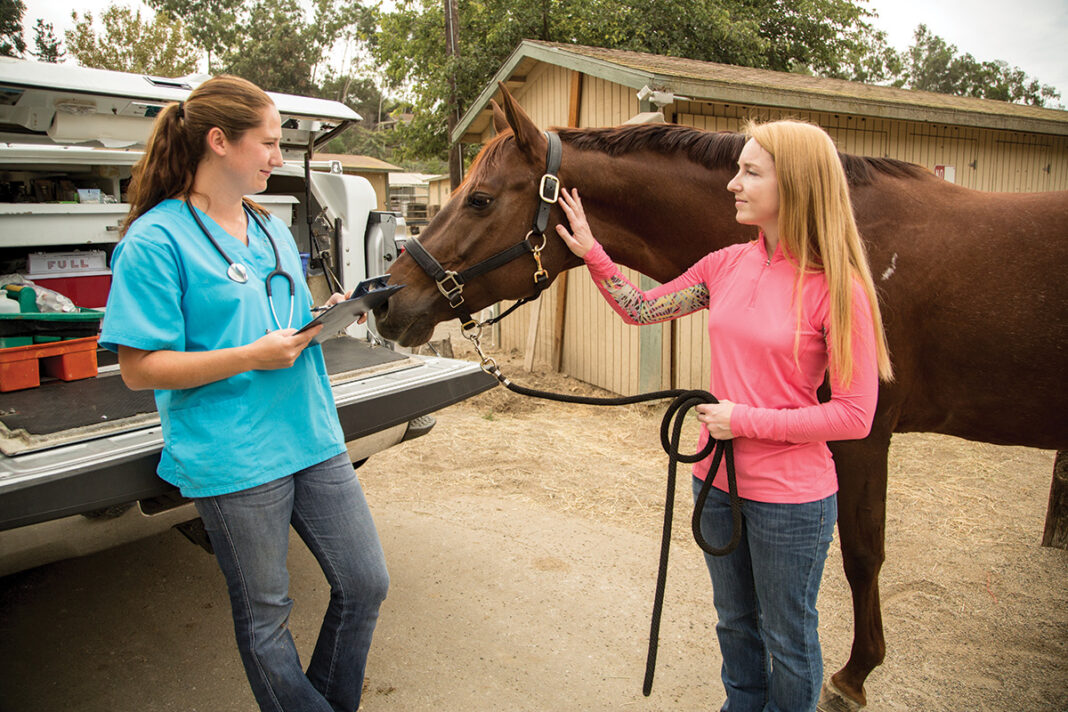 Horse Health Checklist - Horse Illustrated