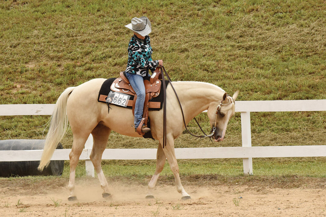 Ultimate Guide to Ulcers in Horses - Horse Illustrated