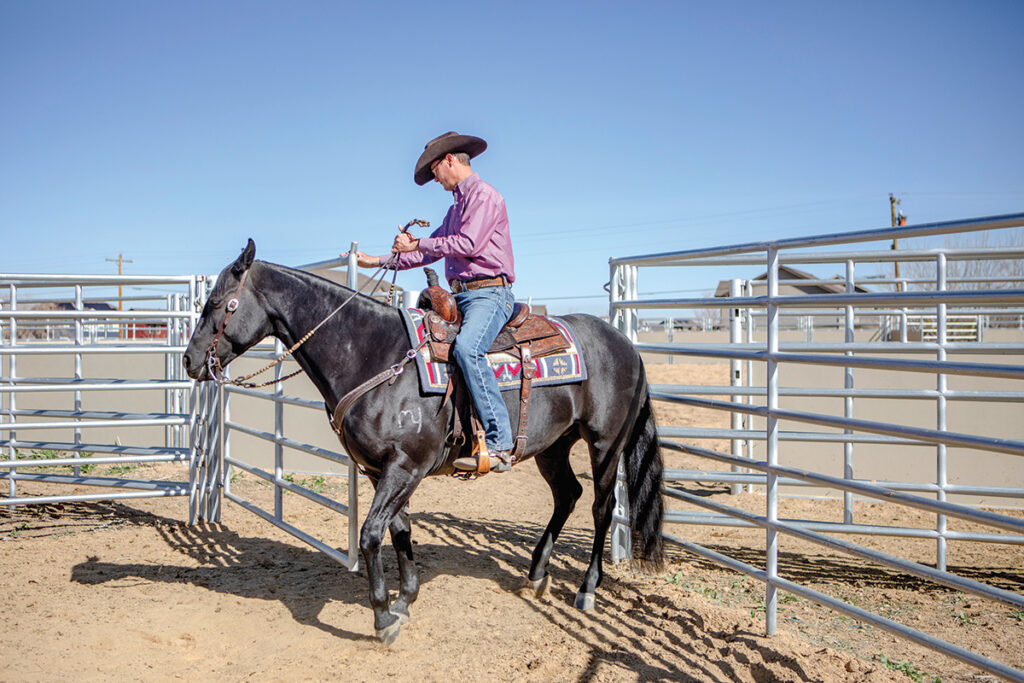 Ranch Riding: Gates - Horse Illustrated