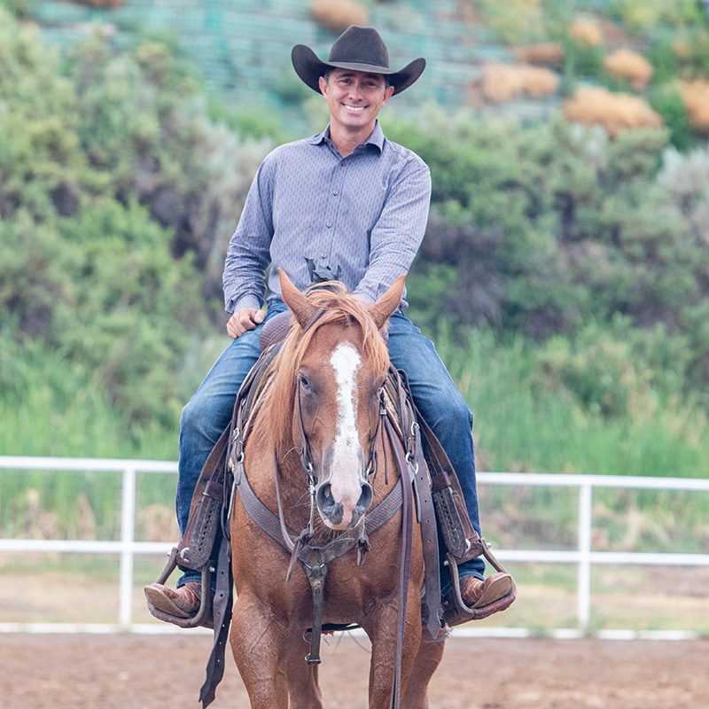 Reining and Cow Horse Stops: What's the Difference?
