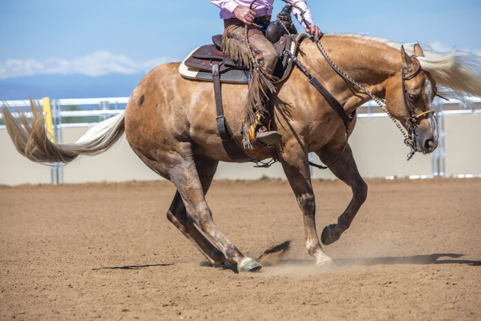 Master Your Reining Spins - Horse Illustrated