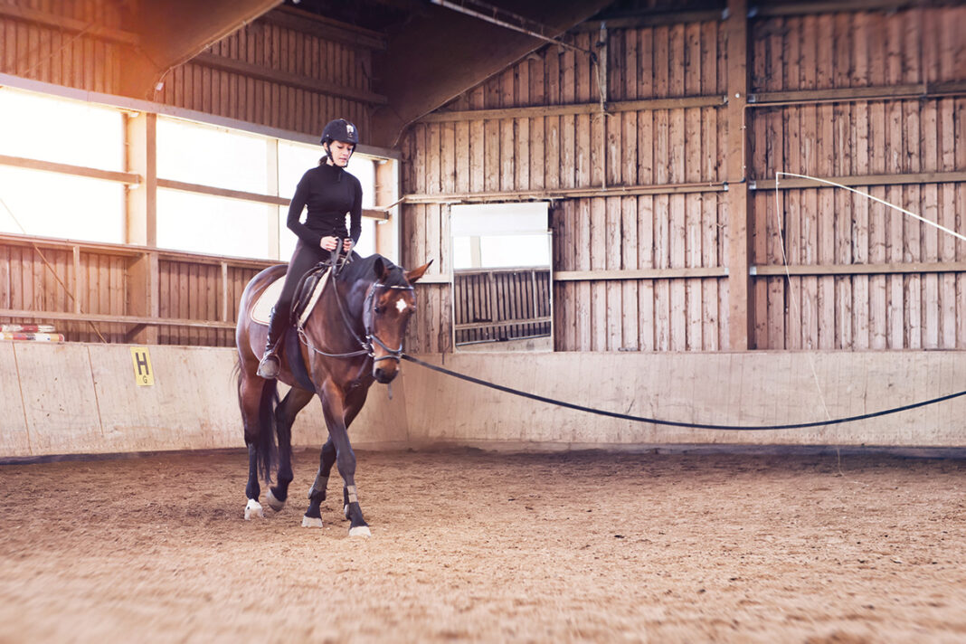 Horse Riding Training Advice and Tips from Horse Illustrated