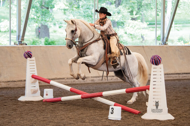 An Overview of Working Equitation - Horse Illustrated