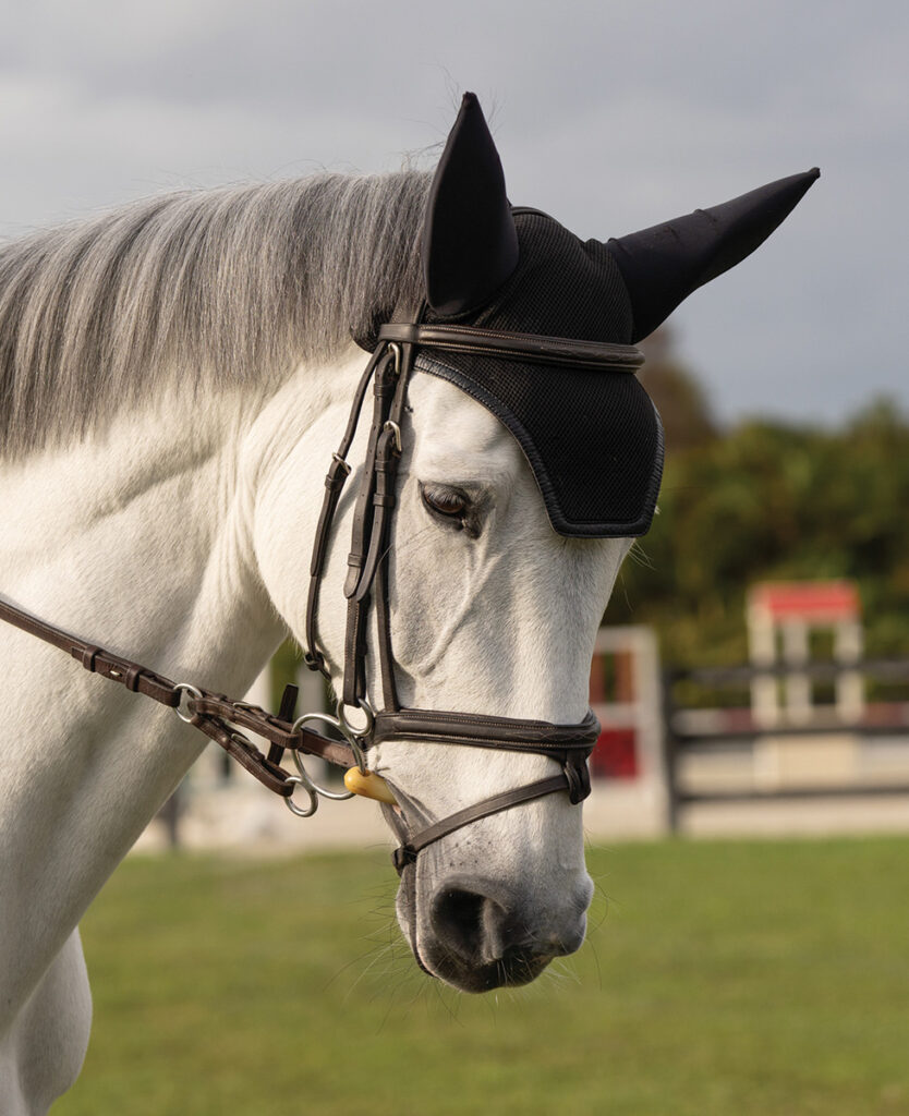 Achieve the Correct Timing of Riding Aids - Horse Illustrated