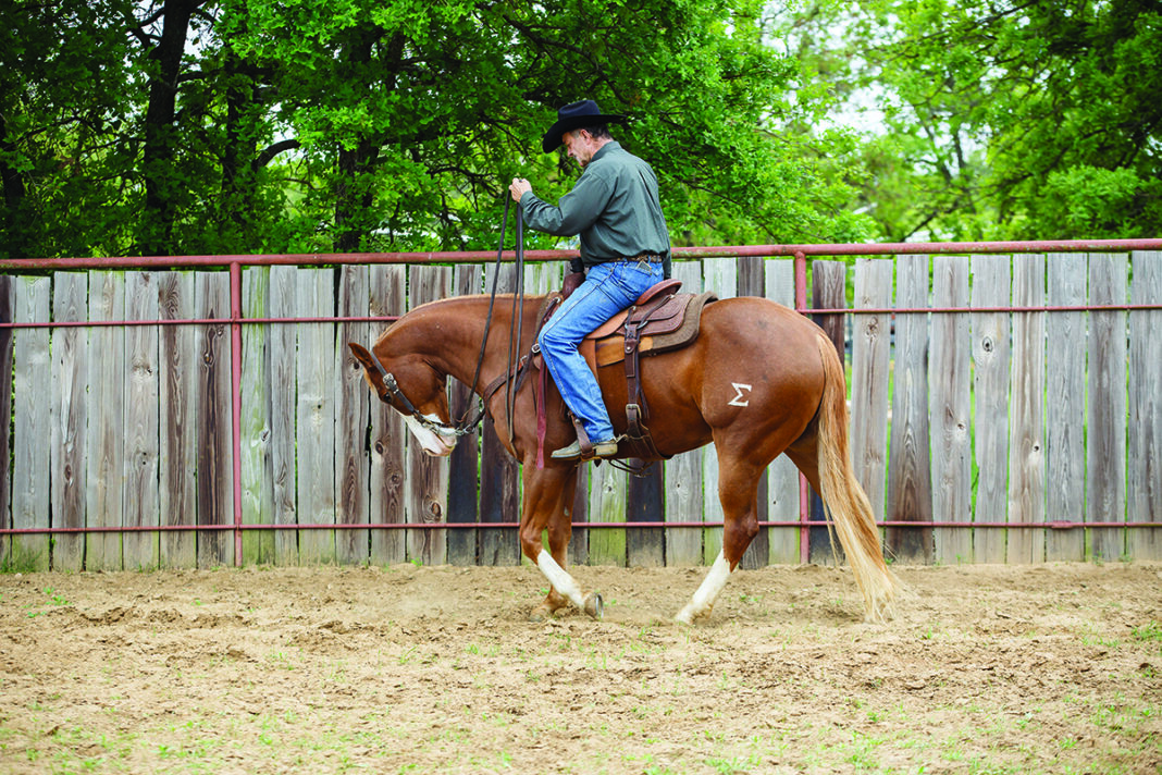 Ranch Riding Downward Transitions - Horse Illustrated