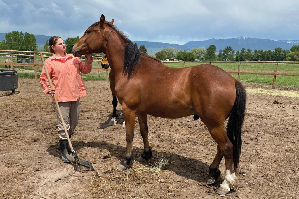 Wild Horsemanship: Joe Misner - Horse Illustrated