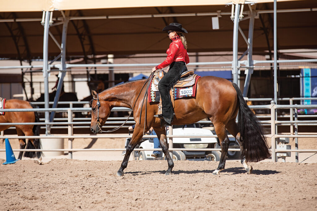 Changing Riding Disciplines: English to Western - Horse Illustrated