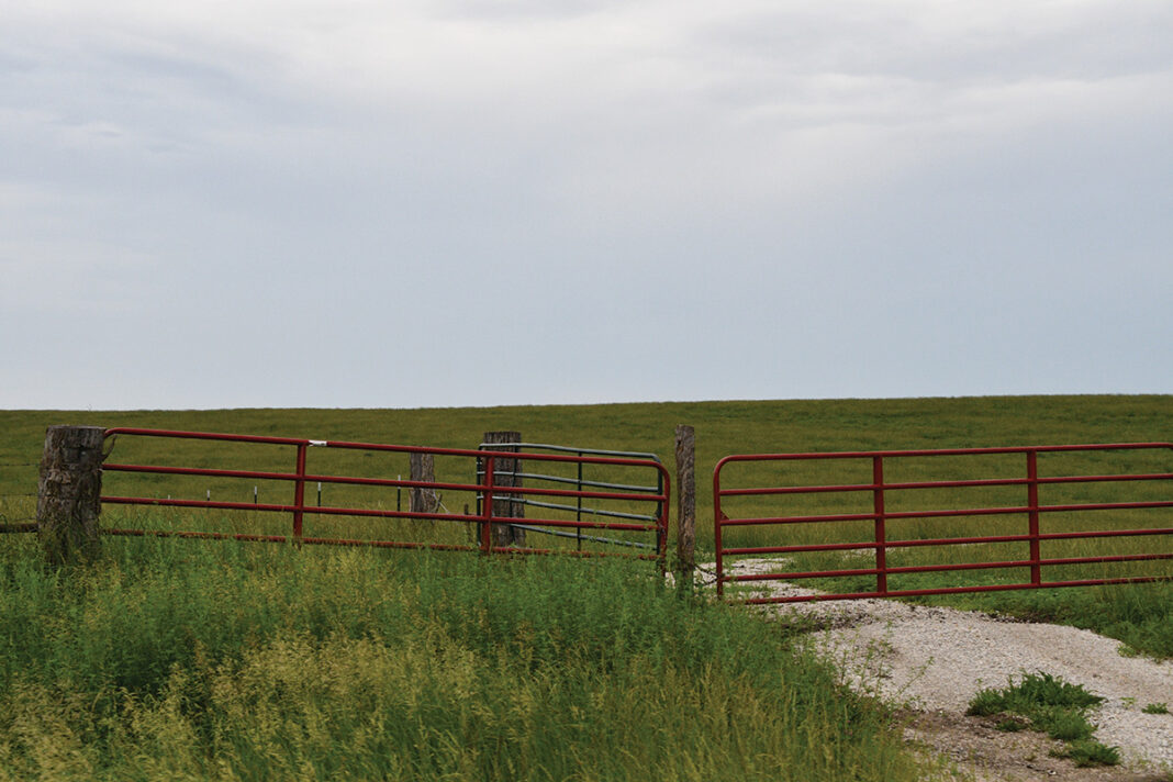 DIY Barn Hacks - Horse Illustrated