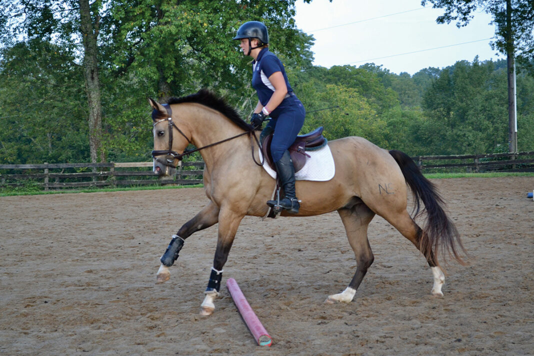 Using Ground Poles in Your Horse's Training - Horse Illustrated
