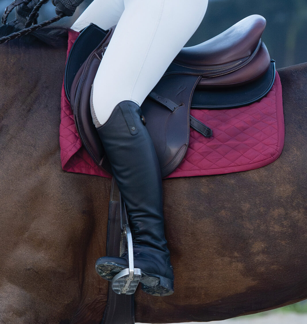How to Improve a Lazy Horse's Responsiveness - Horse Illustrated