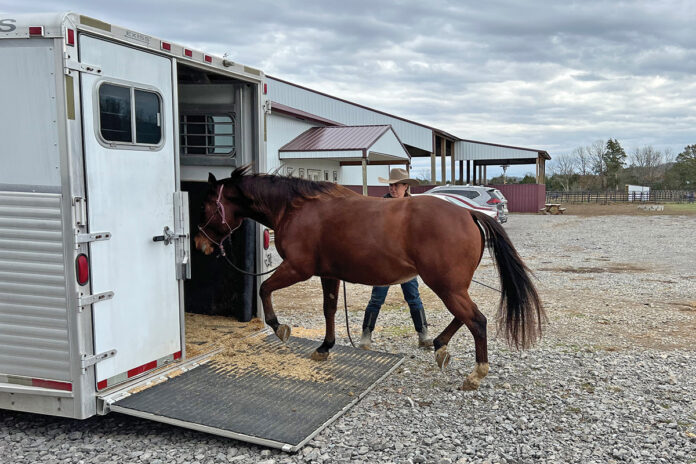 Teach Your Horse to Self-Load in the Trailer - Horse Illustrated