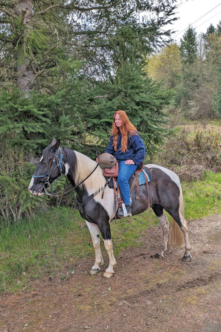 Breed Spotlight: Tennessee Walking Horse - Horse Illustrated
