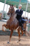 Horsing Around with Carson Kressley - Horse Illustrated