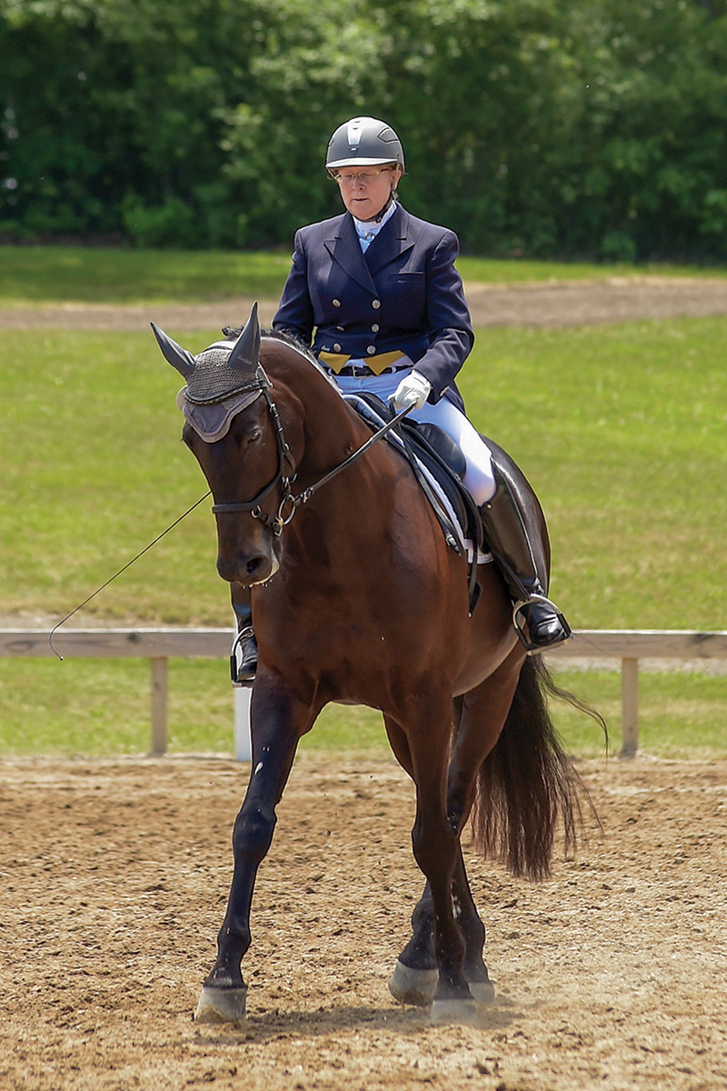 Try a Dressage Ride a Test Clinic - Horse Illustrated