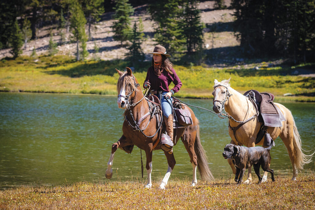 Meet the Peruvian Horse - Horse Illustrated