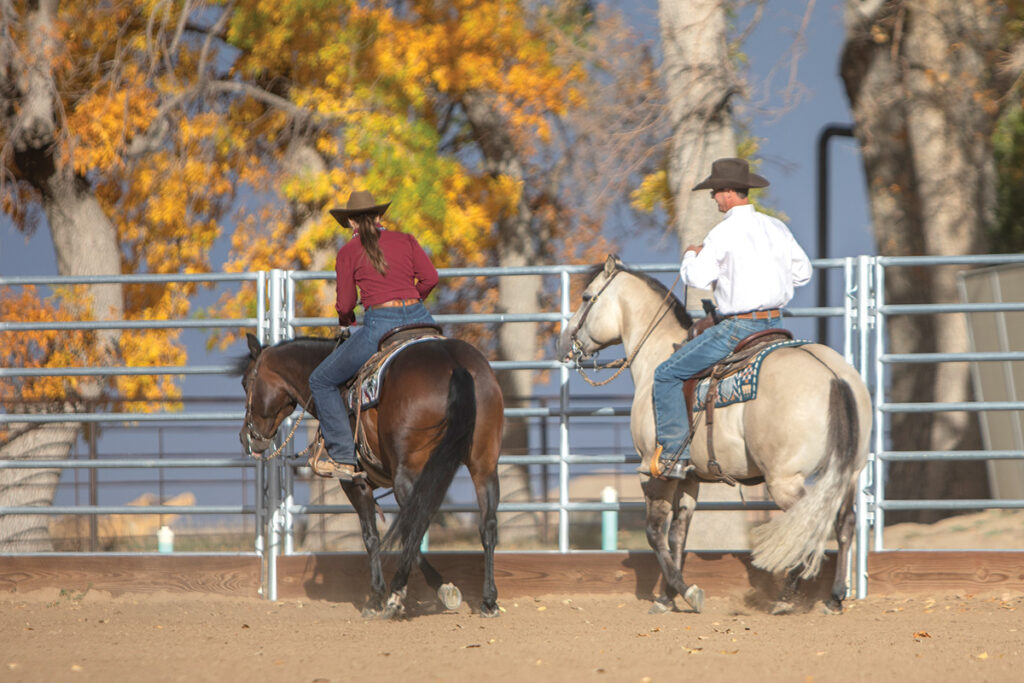 Cattle Work 101 - Horse Illustrated