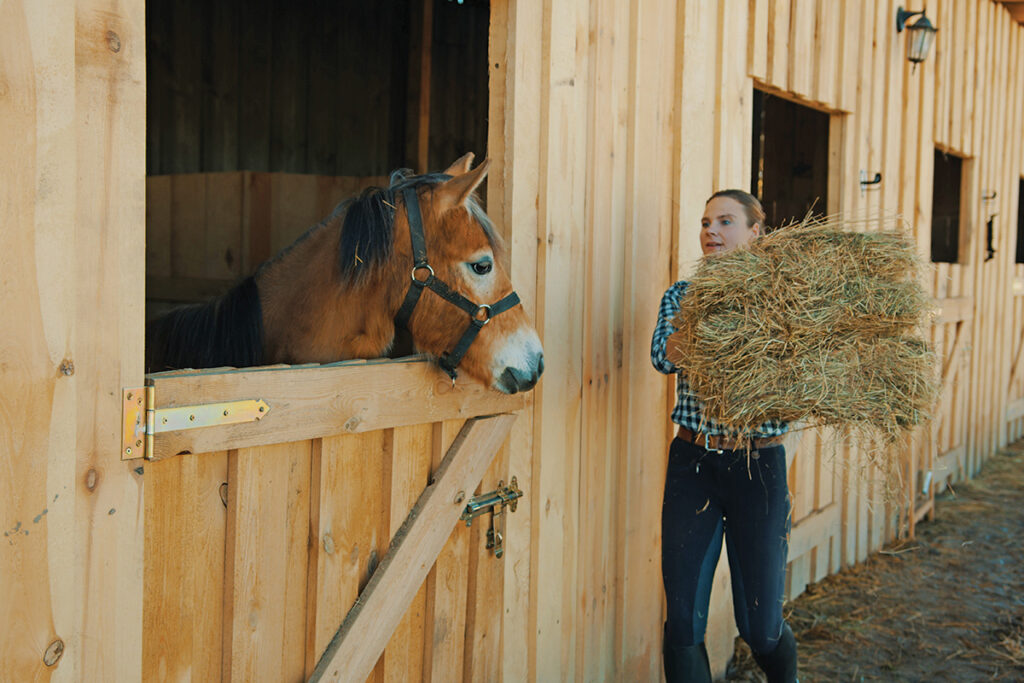 Horsekeeping: Should You Keep Your Horse at Home or Board?